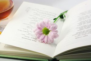 Poetry in Spanish | English to Spanish Translation - SpanishDictionary.com
