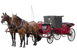 Carriage in Spanish | English to Spanish Translation - SpanishDict