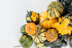 Squash in Spanish | English to Spanish Translation - SpanishDictionary.com
