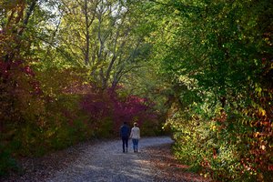 Paseo | Spanish to English Translation - SpanishDictionary.com