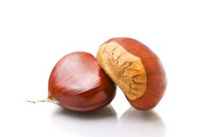 Castaña | Spanish to English Translation - SpanishDictionary.com