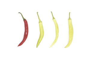 Mild | Traductor de inglés a español - inglés.com