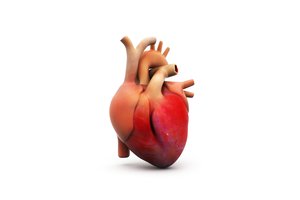 Corazón | Spanish to English Translation - SpanishDictionary.com