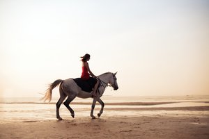 Horseback riding in Spanish | English to Spanish Translation ...