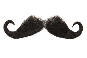 Bigotes | Spanish to English Translation - SpanishDictionary.com