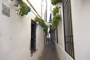 Narrow in Spanish | English to Spanish Translation - SpanishDictionary.com