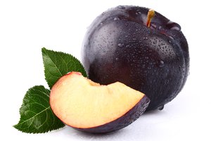 Plum | Traductor de inglés a español - inglés.com