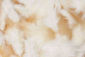 Soft | Traductor de inglés a español - inglés.com