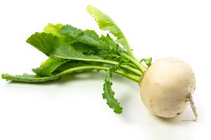 Nabo en inglés | Traductor de español a inglés - inglés.com