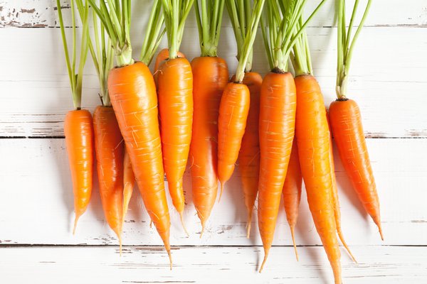Carrot in Spanish | English to Spanish Translation - SpanishDictionary.com