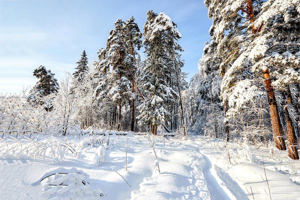 Invierno | Spanish to English Translation - SpanishDictionary.com