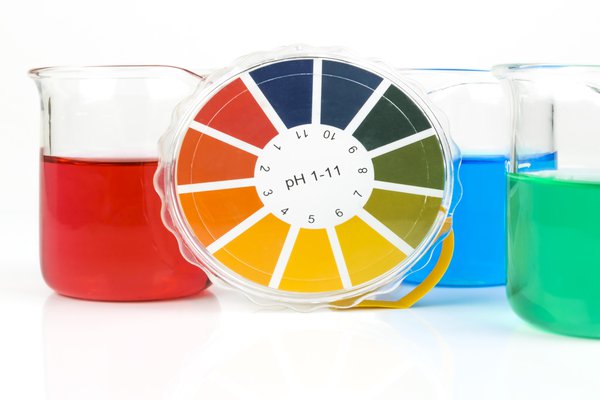 Acido en inglés | Traductor de español a inglés - inglés.com