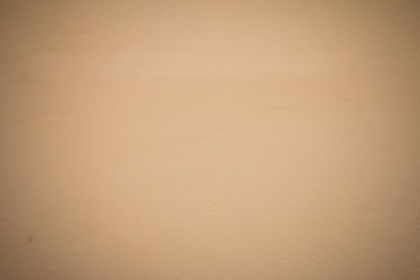 Marrón claro | Spanish to English Translation - SpanishDictionary.com