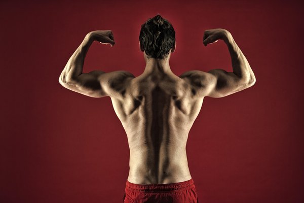 Musculoso | Spanish to English Translation - SpanishDictionary.com