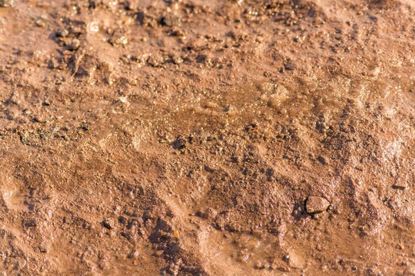 El lodo en inglés | Traductor de español a inglés - inglés.com