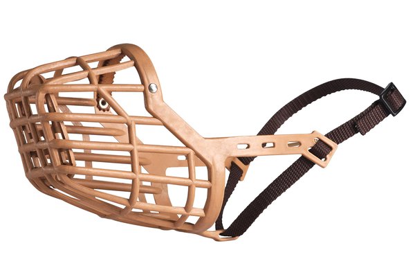 Bozal | Spanish to English Translation - SpanishDictionary.com