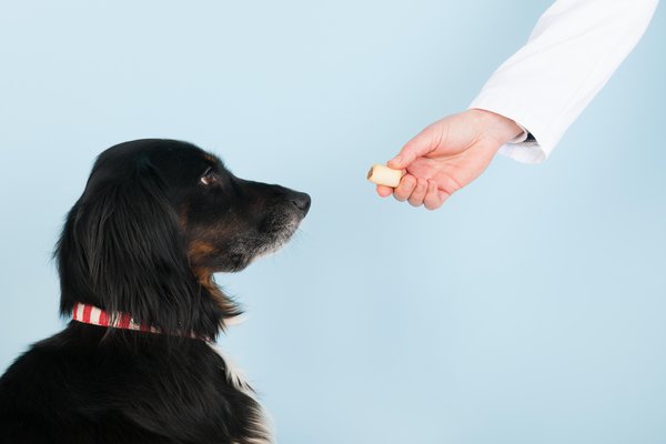 Merecer | Spanish to English Translation - SpanishDictionary.com