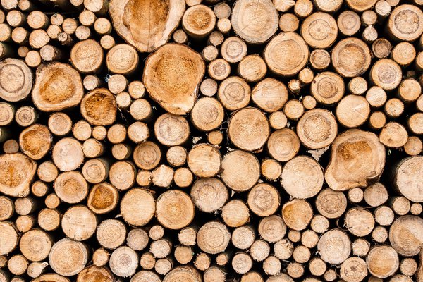 Muchísima | Spanish to English Translation - SpanishDictionary.com