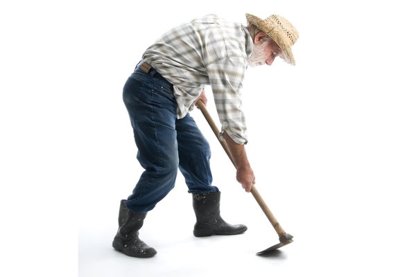 Peasant in Spanish | English to Spanish Translation - SpanishDictionary.com