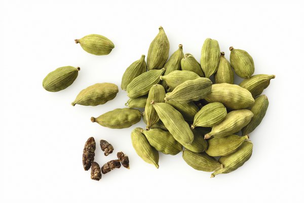 Cardamom in Spanish | English to Spanish Translation ...