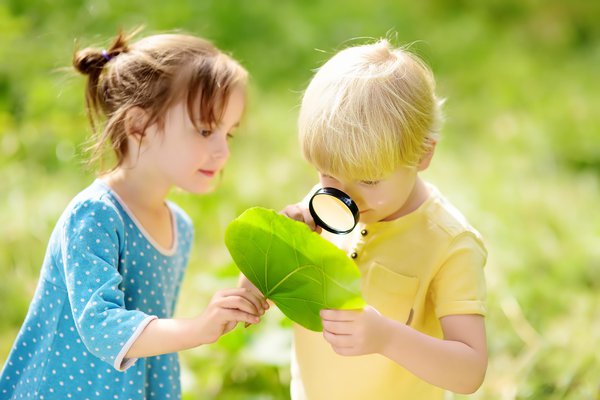 Find in Spanish | English to Spanish Translation - SpanishDictionary.com