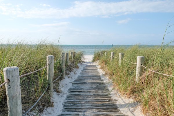 Path in Spanish | English to Spanish Translation - SpanishDictionary.com