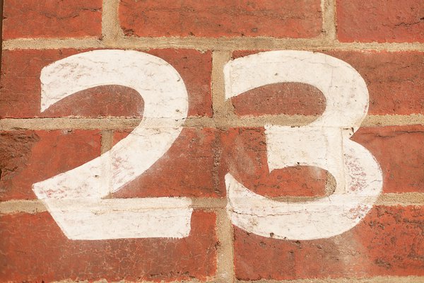 23 in Spanish | English to Spanish Translation - SpanishDictionary.com