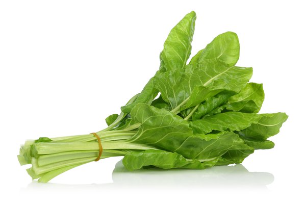 Acelga | Spanish to English Translation - SpanishDictionary.com