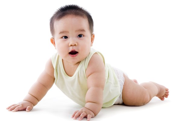 Rollizo | Spanish to English Translation - SpanishDictionary.com