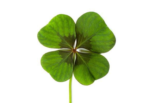 Clovers | Traductor de inglés a español - inglés.com