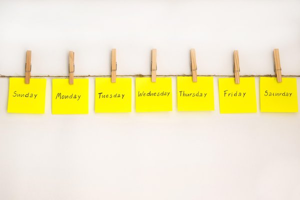 Week in Spanish | English to Spanish Translation - SpanishDictionary.com