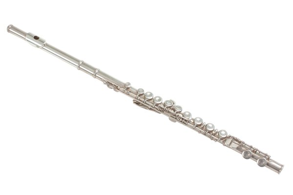 Flute in Spanish | English to Spanish Translation - SpanishDictionary.com