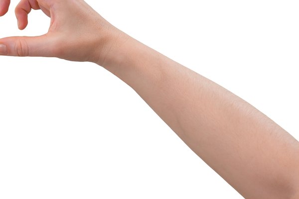 Brazo en inglés | Traductor de español a inglés - inglés.com
