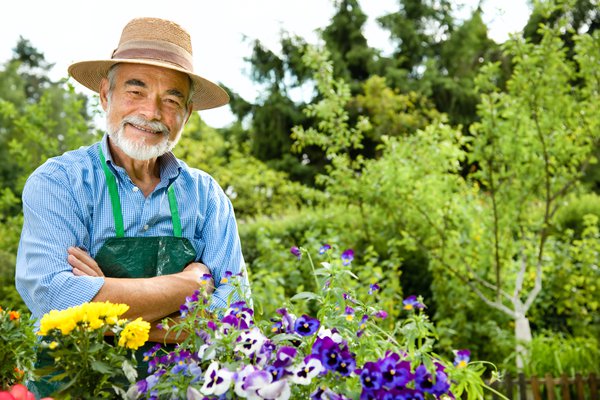 Jardinero | Spanish to English Translation - SpanishDictionary.com