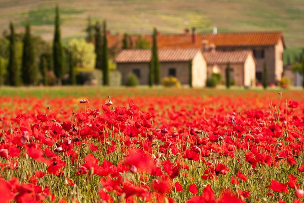 Pintoresco | Spanish to English Translation - SpanishDictionary.com