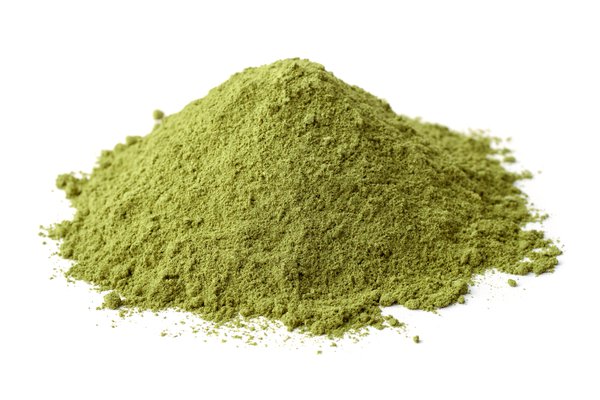 Polvo | Spanish to English Translation - SpanishDictionary.com