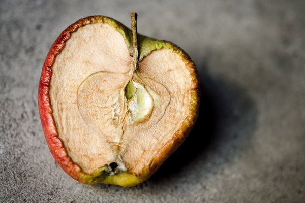 Podrido en inglés | Traductor de español a inglés - inglés.com