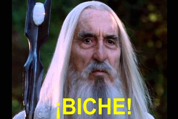 Saramambiche | Spanish to English Translation - SpanishDictionary.com