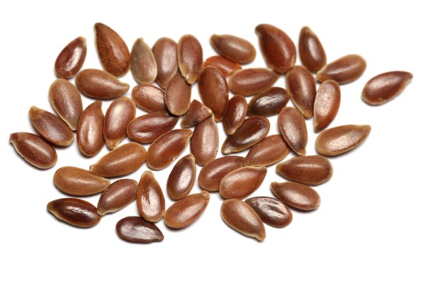 Semillas en inglés | Traductor de español a inglés - inglés.com