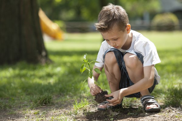 Sembrar | Spanish to English Translation - SpanishDictionary.com