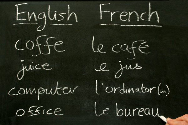 Traducción | Spanish to English Translation - SpanishDictionary.com