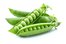 Peas in Spanish | English to Spanish Translation - SpanishDict