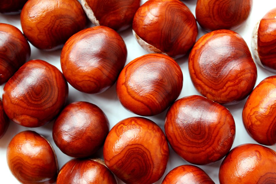 Castañuelos | Spanish to English Translation - SpanishDictionary.com