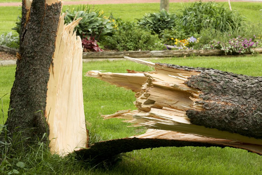 To split in Spanish | English to Spanish Translation ...