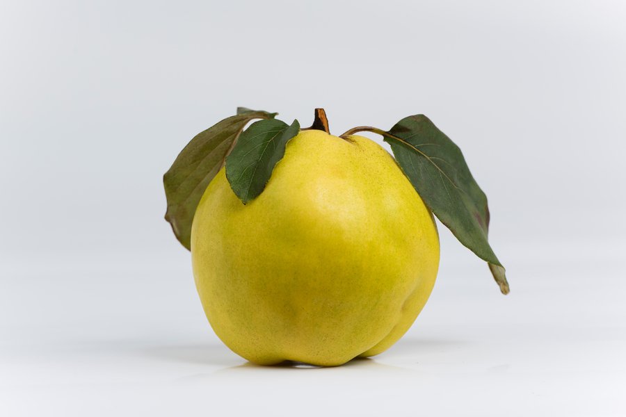 Membrillo | Spanish to English Translation - SpanishDictionary.com