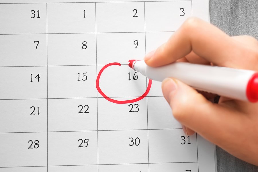 Encircled in Spanish | English to Spanish Translation ...