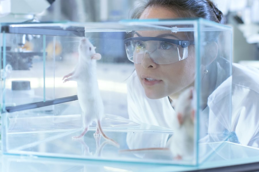 Experiment | Traductor de inglés a español - inglés.com