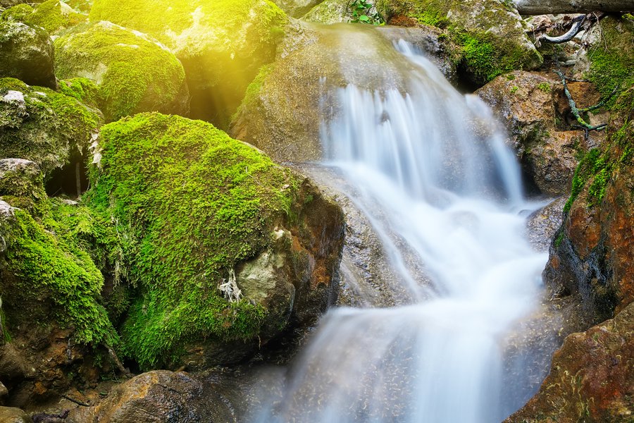 Agradable | Spanish to English Translation - SpanishDictionary.com