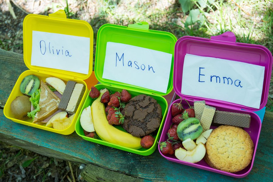 Belong in Spanish | English to Spanish Translation - SpanishDictionary.com