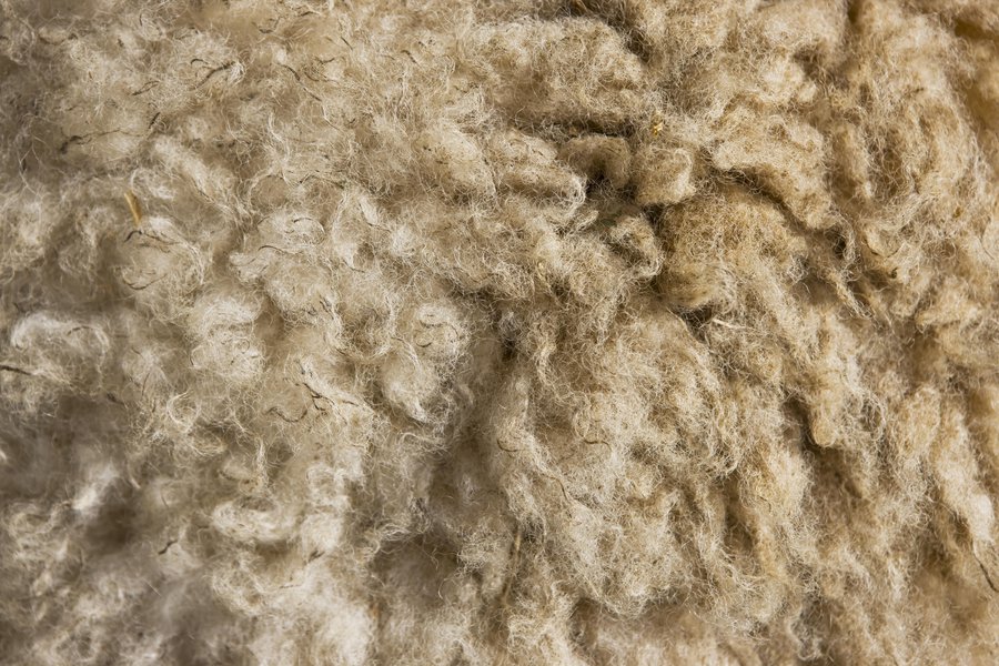 Fleece | Traductor de inglés a español - inglés.com